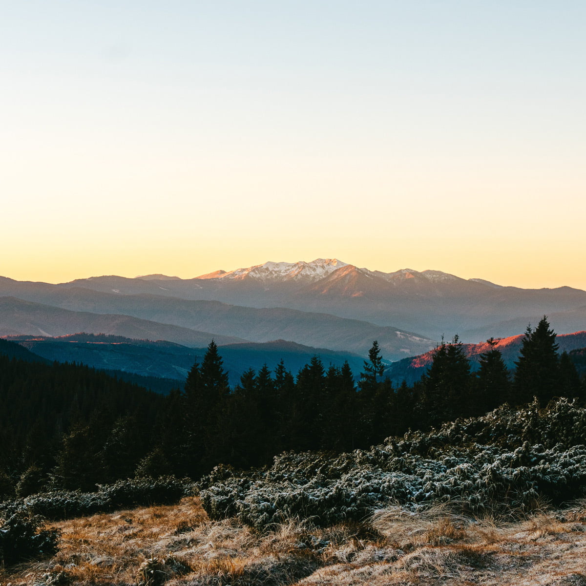 Dacia Duster Overlander 4x4 - wildadventures